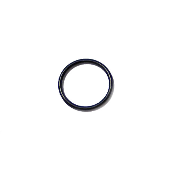 Cummins ISM, M11, L10 O-Ring, New (3032787)