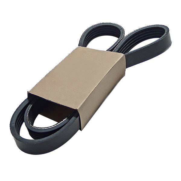 Cummins Ribbed Belt, New (206996)