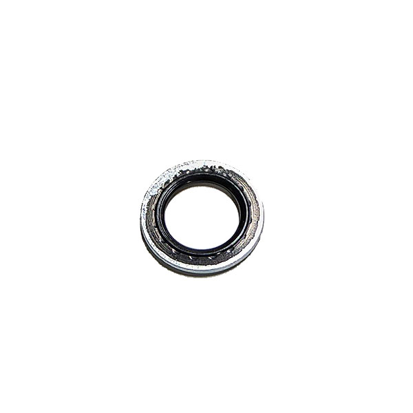 Cummins ISX Single Cam, ISX Dual Cam Sealing Washer, New (3963983)
