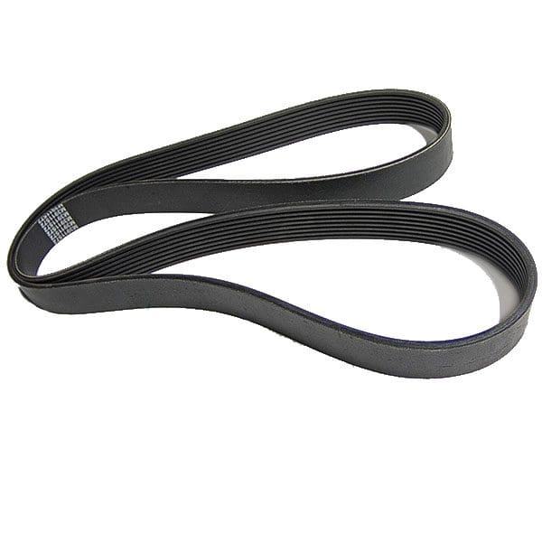 Cummins ISC 8.3L, 4B 3.9L, 6B 5.9L Belt, New (3911572)